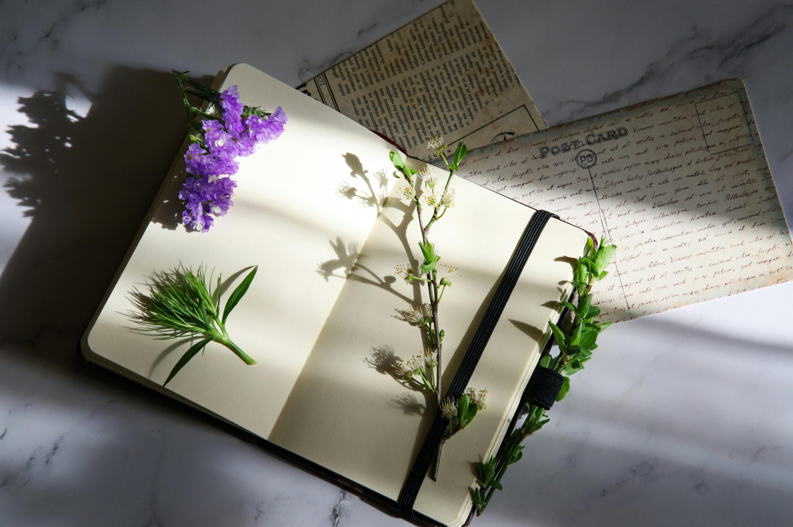Shadow Work Journaling Prompts